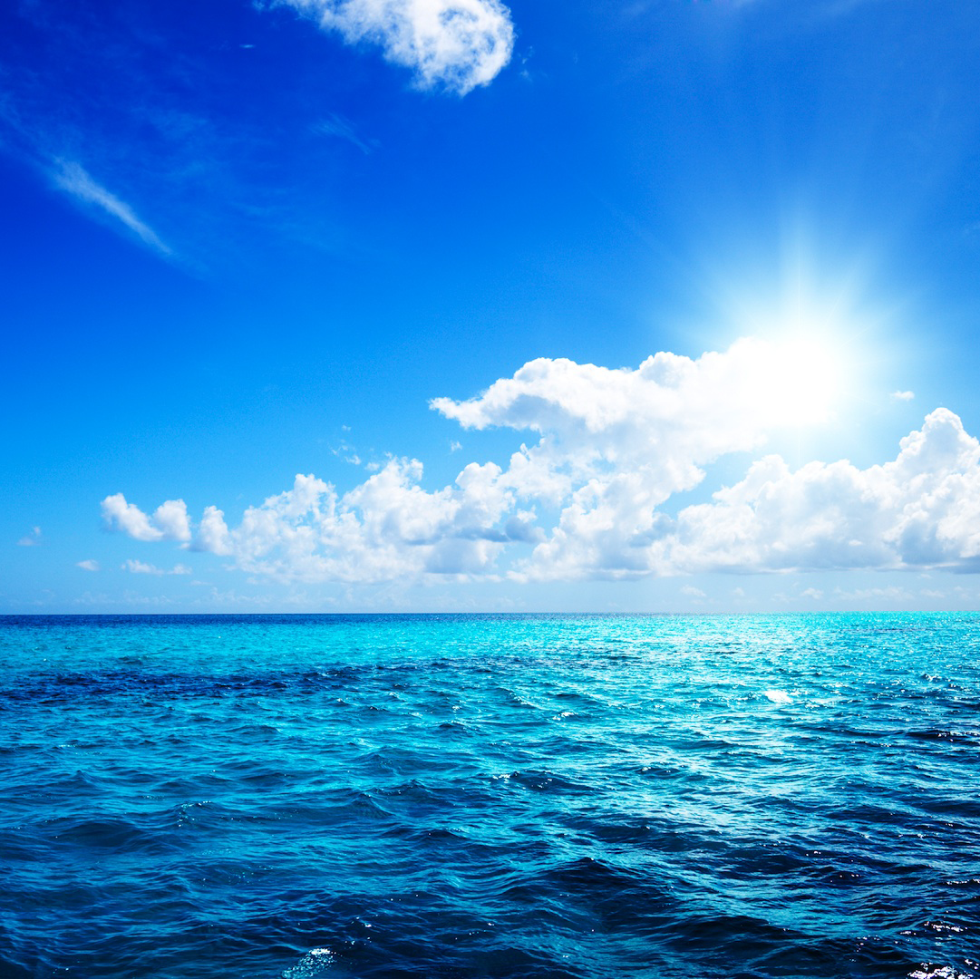 FC募集 – MATCHBOX